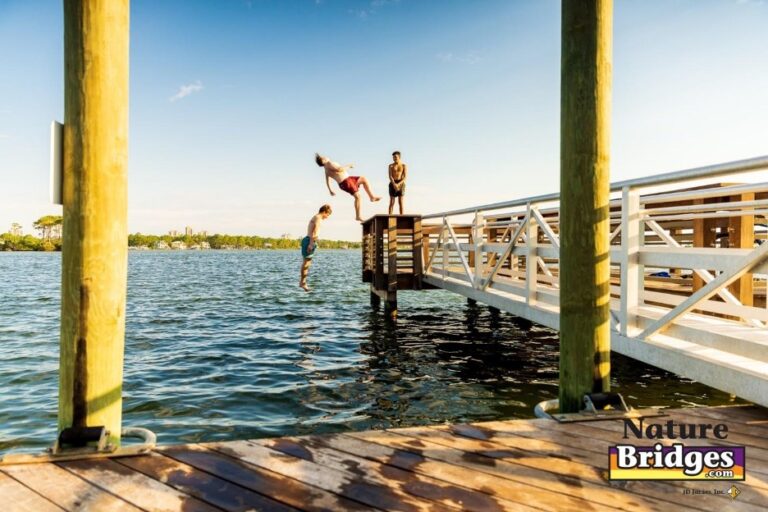 Green Bridge Construction: What It Means - Nature Bridges