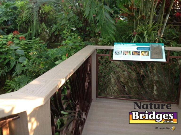 How to Bring Nature Closer with Boardwalks - Nature Bridges