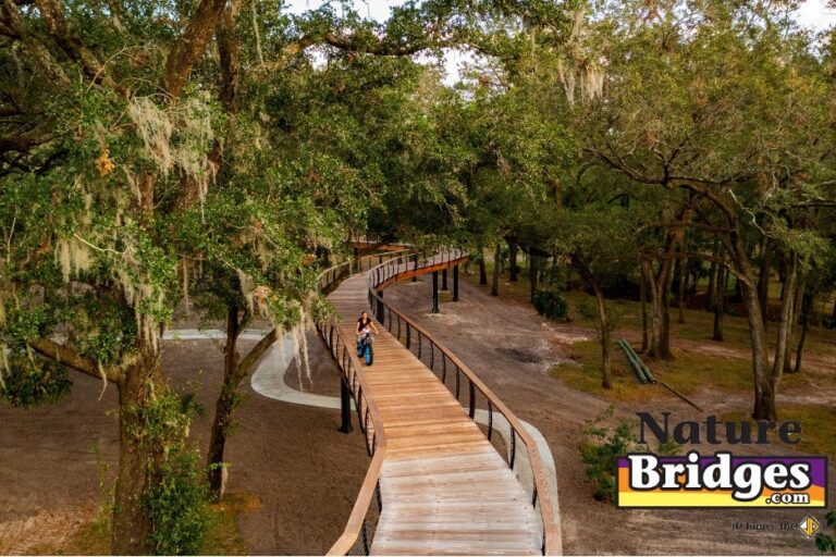 The Art of Boardwalks: A Tribute to Builders - Nature Bridges