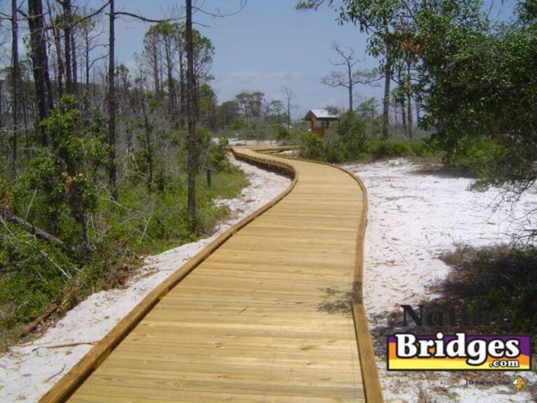 The Art of Boardwalks: A Tribute to Builders - Nature Bridges
