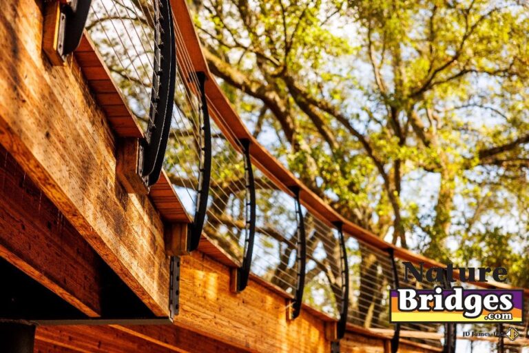 Considering Details: Handrails - Nature Bridges