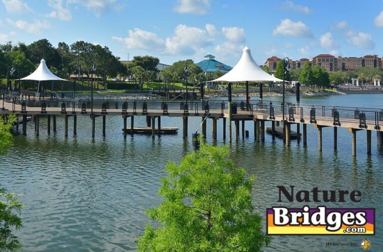 Innovative Pavilion Designs for Parks - Nature Bridges