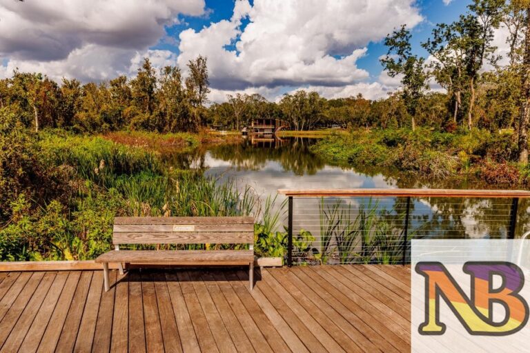 Conserving Waterways: The Impact of Thoughtful Construction - Nature ...